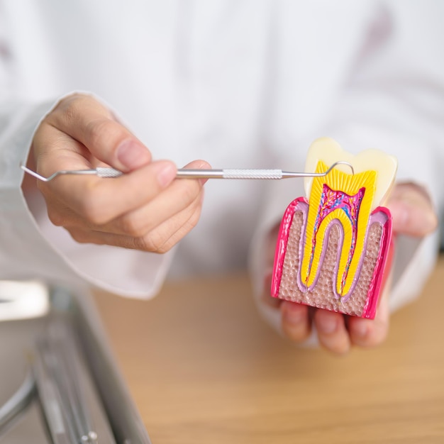 Does Root Canal Therapy Hurt More Than a Filling?